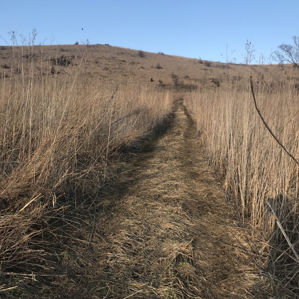 Hogback Prairie State Natural Area – Crawford County Wisconsin